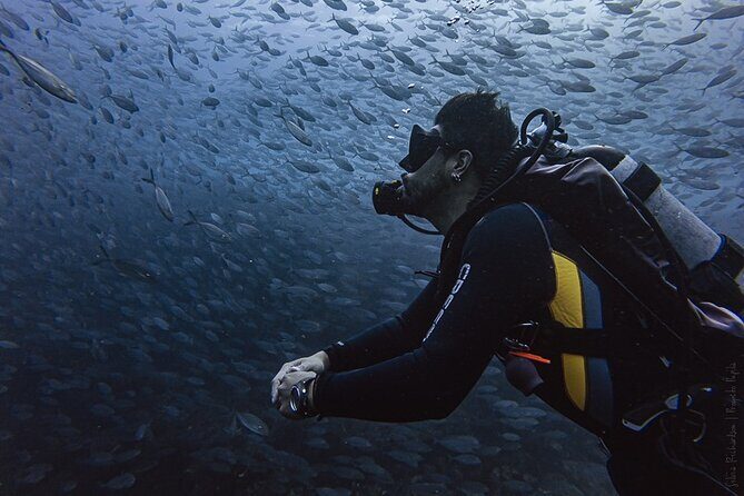 Scuba Diving - The Itinerary in Detail