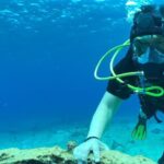 Scuba Diving Adventure in Riviera Maya Small Group Experience - Exploring the Marine Environment
