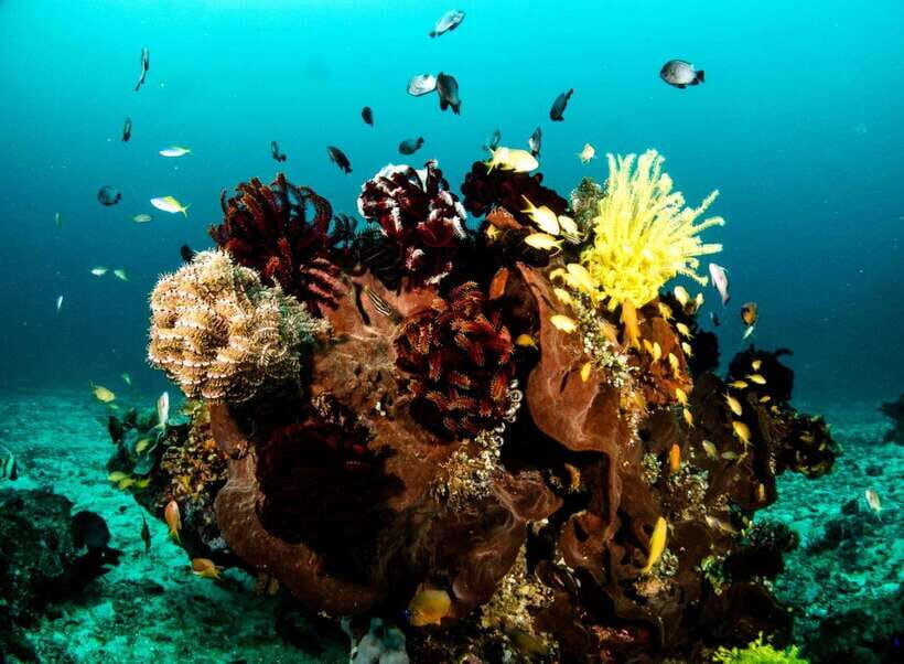 Scuba Diving in Boracay: SSI Open Water Certification - Exploring the Itinerary