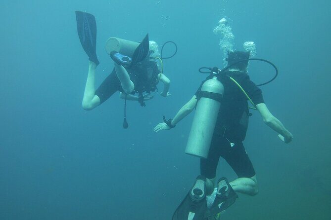 Scuba Diving in Colombo - Why Wrecks Are a Big Deal