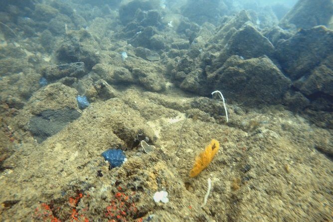 Scuba Diving in Mirissa - The Itinerary: A Closer Look