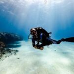 Scuba Diving in Playa del Carmen for Small Groups - Why the Experience Excels
