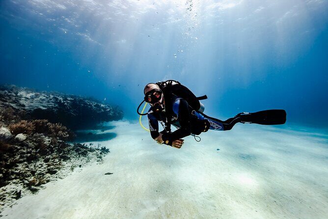 Scuba Diving in Playa del Carmen for Small Groups - Why the Experience Excels