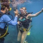 Scuba Diving with a 5-Star PADI Center in Puerto Vallarta - The Itinerary: A Deep Dive into the Days Journey
