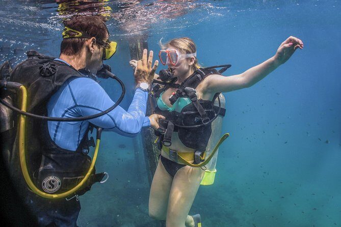 Scuba Diving with a 5-Star PADI Center in Puerto Vallarta - The Itinerary: A Deep Dive into the Days Journey