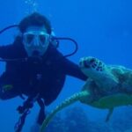 Scuba Referral Dives & Beach Club with Transportation In Riviera Maya - Practical Considerations and Tips