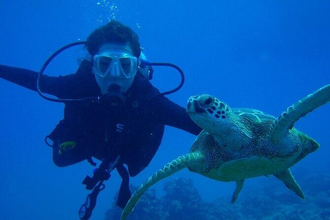 Scuba Referral Dives & Beach Club with Transportation In Riviera Maya - Practical Considerations and Tips