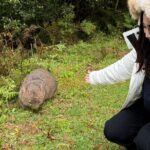 Sea Cliff Bridge, Kiama Blowhole, Beaches & Farmlands Small Group - What Travelers Say About the Experience