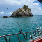 Sea Fishing Competition and Tasting Day in KHO SAMUI - Authentic Moments and Authentic Reviews