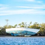 Sea Kayak Tour - Mangrove Safari - The Value of This Tour