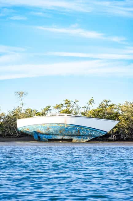 Sea Kayak Tour - Mangrove Safari - The Value of This Tour