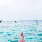Sea Kayak Tour - Marine Safari - The Kayaking Experience: Covering 10 Miles of Baja’s Coastline