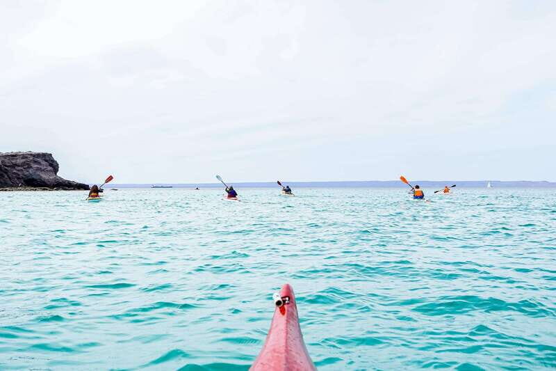 Sea Kayak Tour - Marine Safari - The Kayaking Experience: Covering 10 Miles of Baja’s Coastline