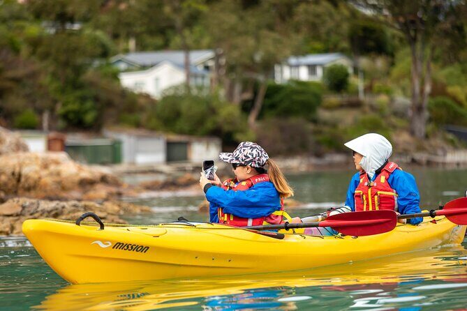 Sea Kayaking Christchurch, Lyttelton Harbour & Quail Island - What Makes This Tour Stand Out?