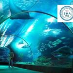 SEA LIFE & Madame Tussauds: Ultimate Bangkok Combo Ticket - The Itinerary in Detail