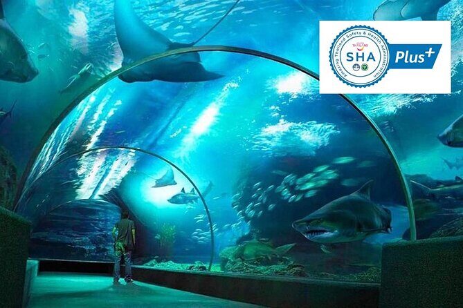 SEA LIFE & Madame Tussauds: Ultimate Bangkok Combo Ticket - The Itinerary in Detail