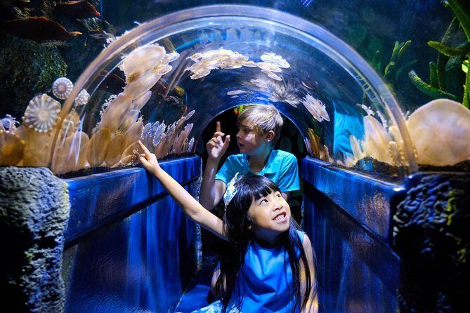 SEA LIFE Melbourne Aquarium Admission Ticket - Who Should Visit SEA LIFE Melbourne Aquarium?