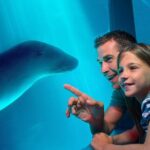 SEA LIFE Sunshine Coast Aquarium Entrance Ticket - Delving Into the Details: Whats in Store
