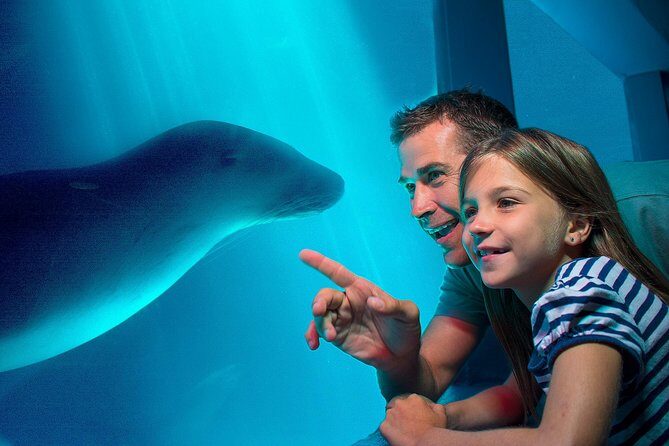 SEA LIFE Sunshine Coast Aquarium Entrance Ticket - Delving Into the Details: Whats in Store