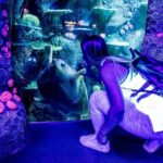 SEA LIFE Sydney Aquarium Entrance Ticket - Who Will Enjoy This?