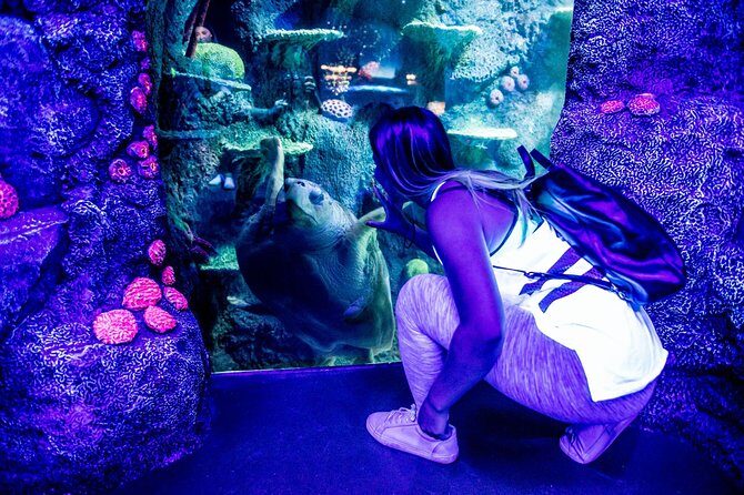 SEA LIFE Sydney Aquarium Entrance Ticket - Who Will Enjoy This?