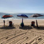 Sea of Cortez: Unforgettable Snorkeling Experience - Why This Tour Is Worth Considering