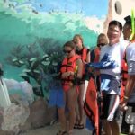 Sea Turtle Snorkeling Ecofriendly Tour from Cancun & Riviera Maya - Who Is This Tour Best For?
