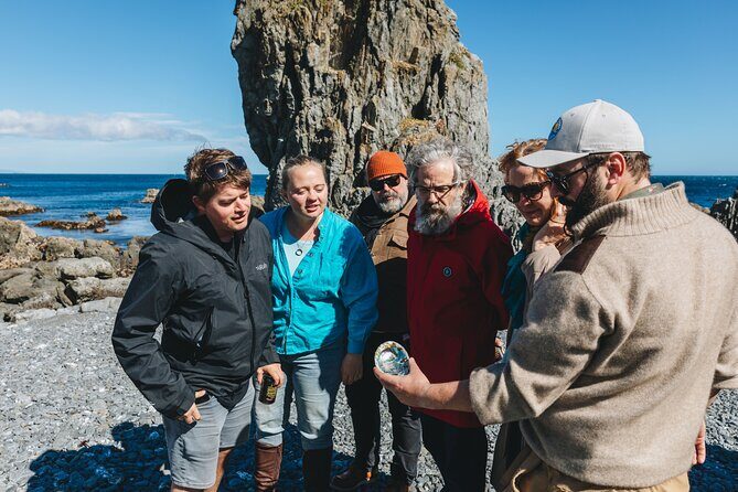 Seal Coast Safari - Exclusive access to Wellington's secret coast - Who Should Consider This Tour?