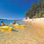 Seal Sanctuary Tour - Guided Kayaking - New Zealand - The Beachside Lunch: A Local Flavor