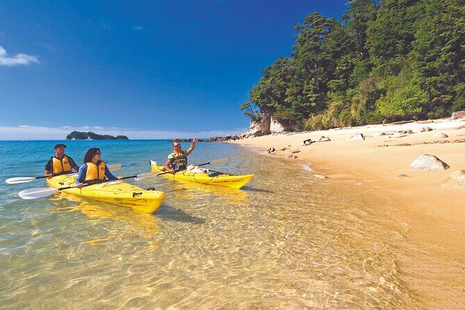 Seal Sanctuary Tour - Guided Kayaking - New Zealand - The Beachside Lunch: A Local Flavor