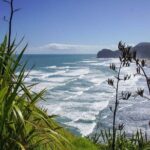 Seamless Auckland Airport Transfers to Auckland CBD - Practical Tips for Travelers