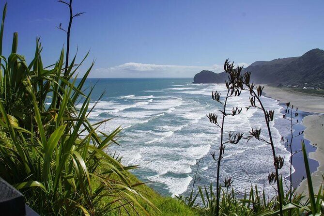 Seamless Auckland Airport Transfers to Auckland CBD - Practical Tips for Travelers