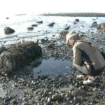 Seattle: Alki Lighthouse Sea Kayak Tour - A Few Considerations