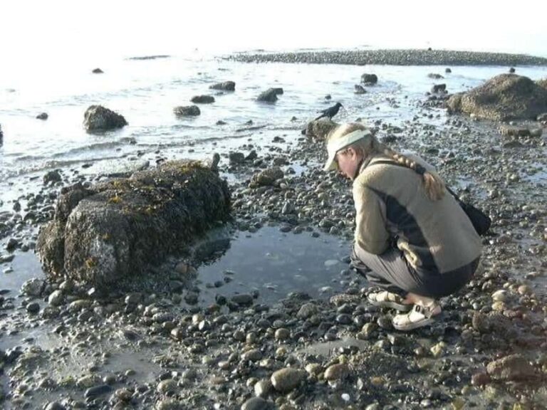 Seattle: Alki Lighthouse Sea Kayak Tour - A Few Considerations