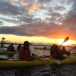 Seattle: West Seattle Sunset Sea Kayak Tour - Who Will Love This Tour?