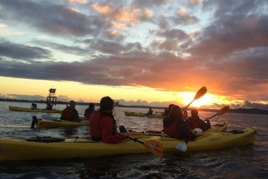 Seattle: West Seattle Sunset Sea Kayak Tour - Who Will Love This Tour?