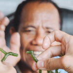 Seaweed Farming Activity and Sightseeing at Diamond Beach - The Sum Up