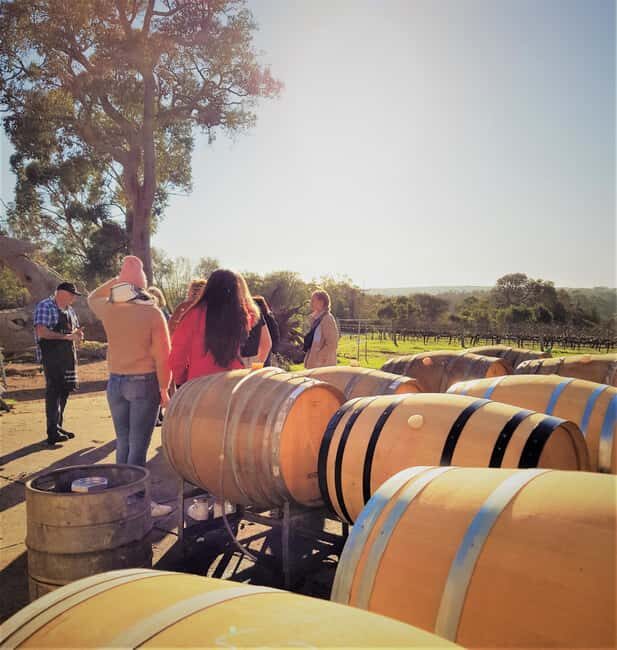 Secret Delights: Wine, Coffee, Artisan and Forest Tour - The Itinerary Breakdown
