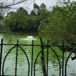 Secrets of Delhi Sultanate: Guided Tour of Hauz Khas. - The Practicalities: What to Expect