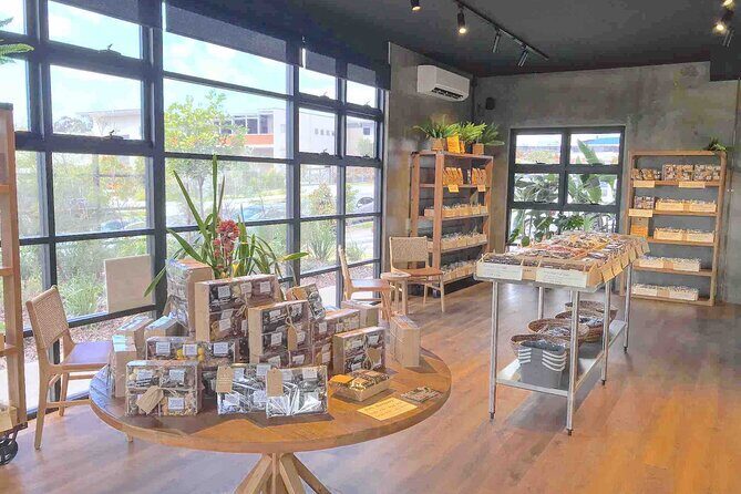 Secrets of Noosa Tour with Oceanview Lunch, Nature & Noosa River Ferry - The Itinerary: What You Can Expect