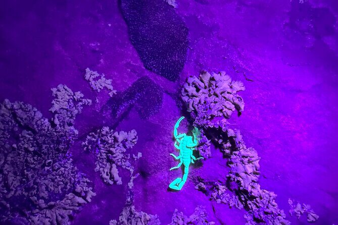Sedona Night Hike and Stargazing - Deep Dive into Details and Value