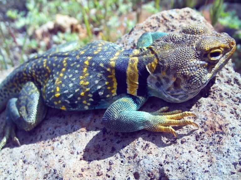 Sedona: PRIVATE Pavement 2-Hour Highlights Jeep Tour - The Experience and Group Dynamics