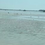 See the 5 Most Visited Points in Progress - Who Will Enjoy This Tour?