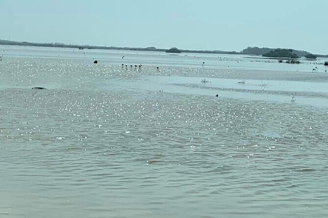 See the 5 Most Visited Points in Progress - Who Will Enjoy This Tour?