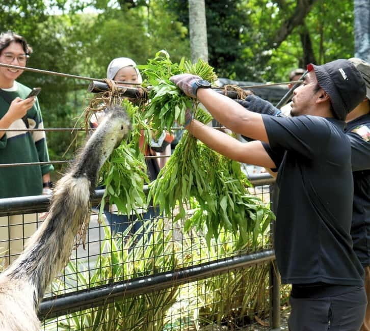 Selangor: Zoo Negara E-Ticket - Authentic Visitor Experiences