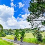 Self Guide E Bike Tour - Husk Distillery, Rainforest & Rail Trail - The Sum Up