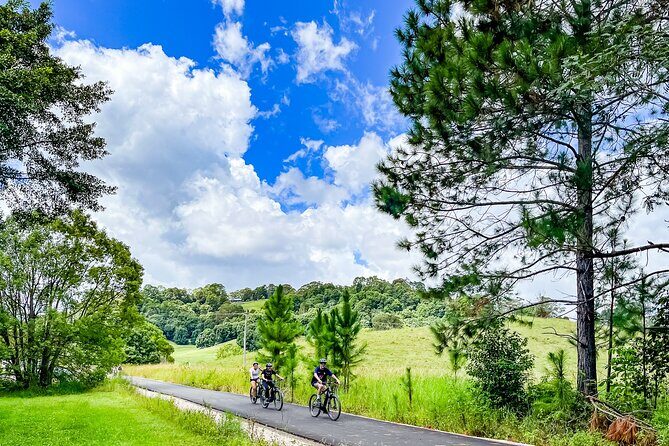 Self Guide E Bike Tour - Husk Distillery, Rainforest & Rail Trail - The Sum Up