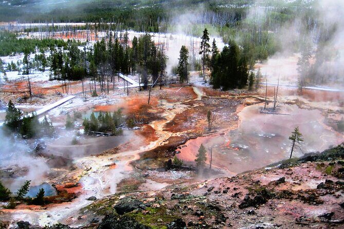 Self-Guided Audio Driving Tour in Yellowstone National Park - What Makes This Tour Stand Out?