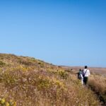 Self-Guided Audio Driving Tour of Point Reyes National Seashore - Detailed Route Analysis