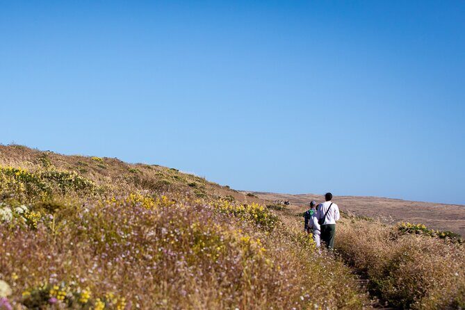 Self-Guided Audio Driving Tour of Point Reyes National Seashore - Detailed Route Analysis
